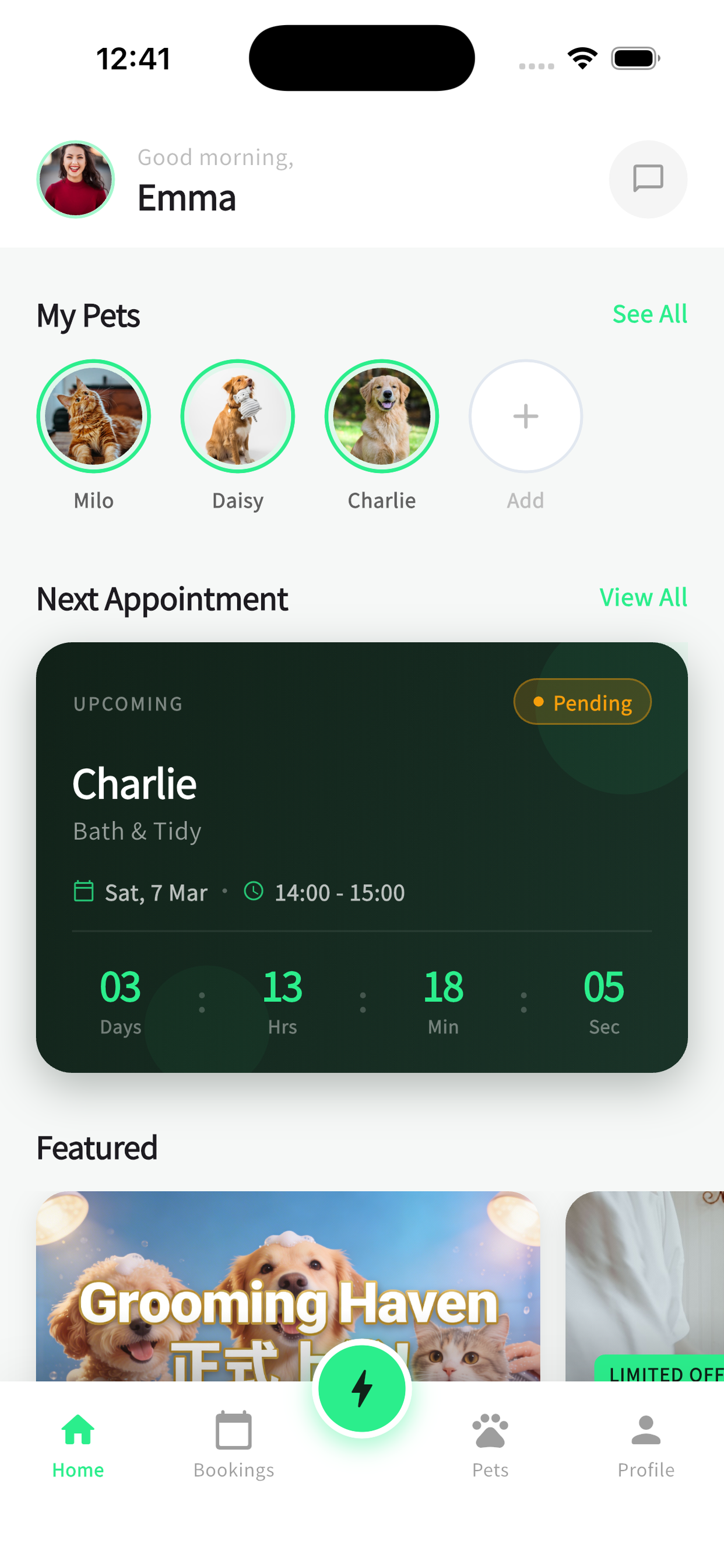 Pet Grooming Appointment